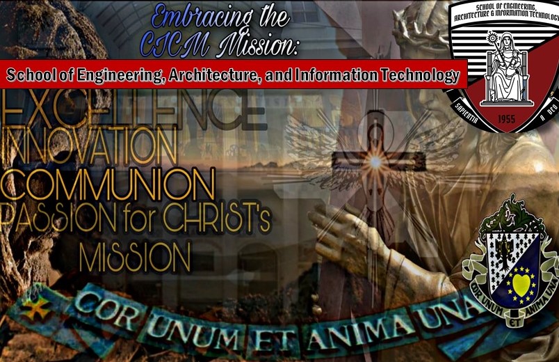 Summary of Embracing the CICM Mission